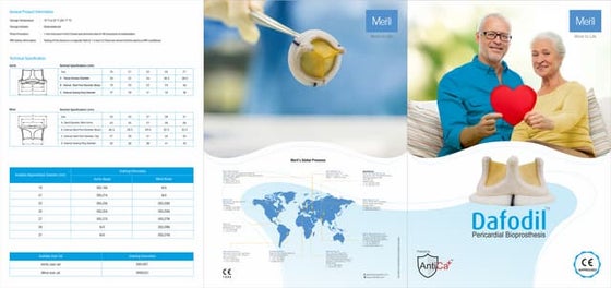 MERITE CU 380 A - INTRAUTERINE CONTRACEPTIVE DEVICE Brochure | PPT