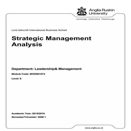 Strategic Management Analysis | PDF | Business Administration | Business