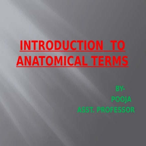 PDF_Maker_1733390987033.pdf it's the part of pdf | PPT