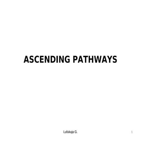Ascending pathways of pain and temperature | PPT