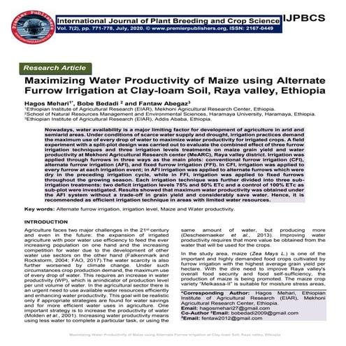 Maximizing Water Productivity of Maize using Alternate Furrow ...