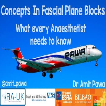 Concepts in Fascial Plane Blocks - What Every Anaesthetist Needs to ...