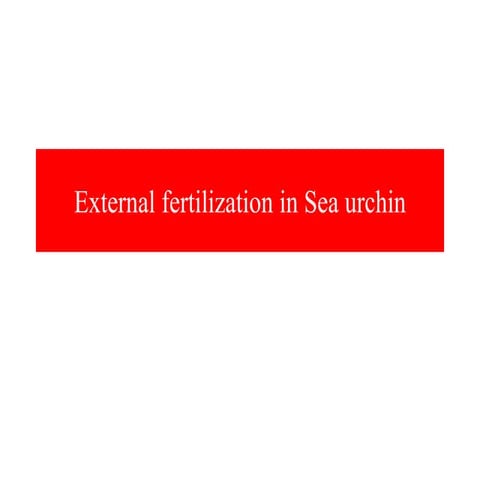 External fertilization | PDF