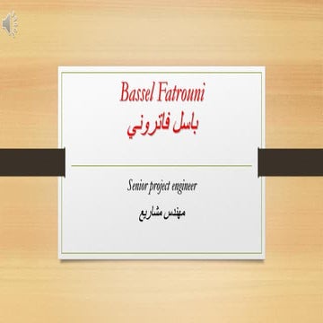 Bassel's recent projects | PDF