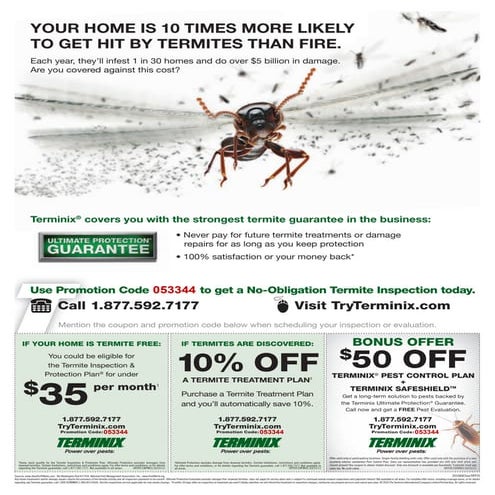 TERMINIX | PDF