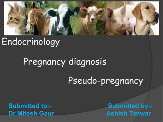 Mastitis in cattle, buffalo | PPT | Ear, Nose and Throat Conditions ...