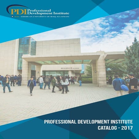 Pdi catalog 2017 | PDF
