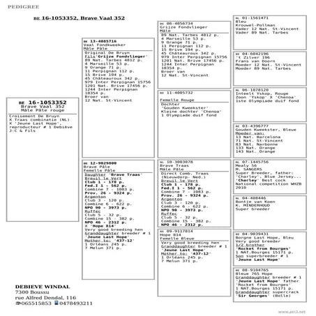 Dating 101 Actor Call Sheet | DOCX