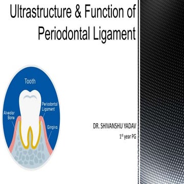 Ultra structure & function of PDL | PPTX