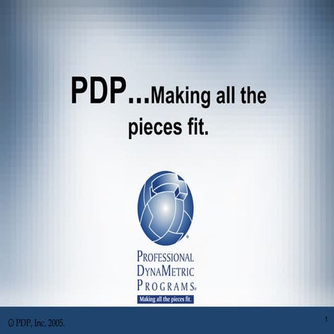 PDP Presentation | PPT