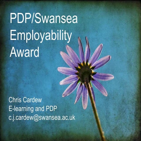 PDP presentation | PPTX