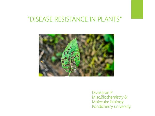 Poster for ASPB conference | PPTX