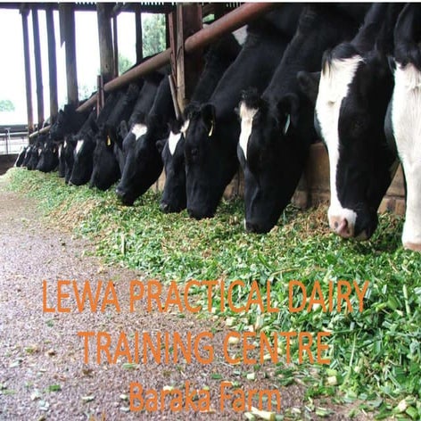 Lewa Practical Dairy Training Center ~ Baraka Farm | PPTX