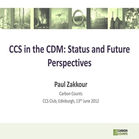 CCS in the clean development mechanism (CDM) | PDF