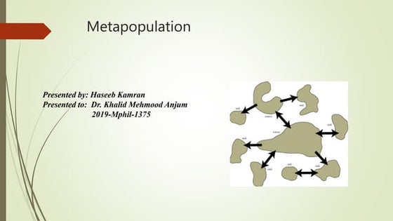 Metapopulation | PPT