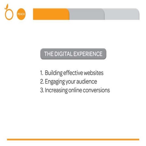 The Digital Experience | PPTX