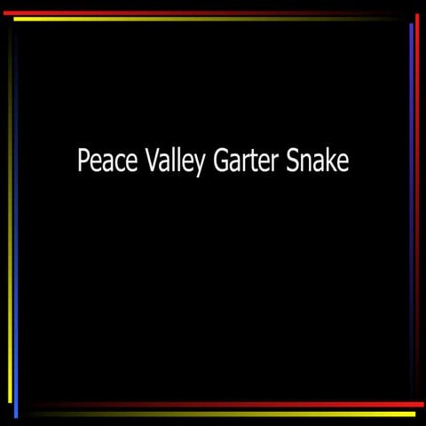 Garter Snake | PPT