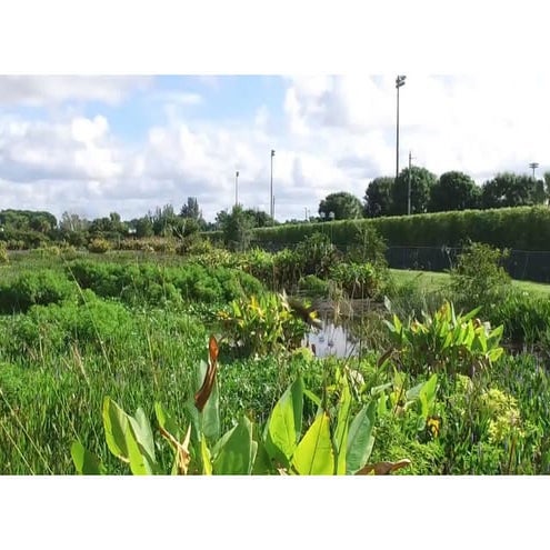 Peaceful Waters Sanctuary 5 miles to the south of dentist Wellington FL ...