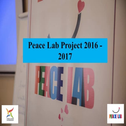 Peace lab project report | PDF