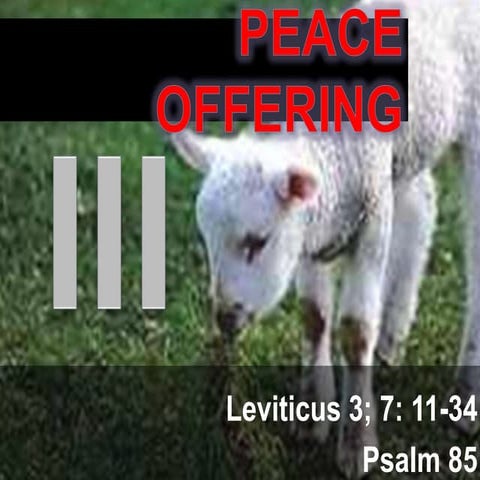 The Offerings - The Peace Offering | PPTX