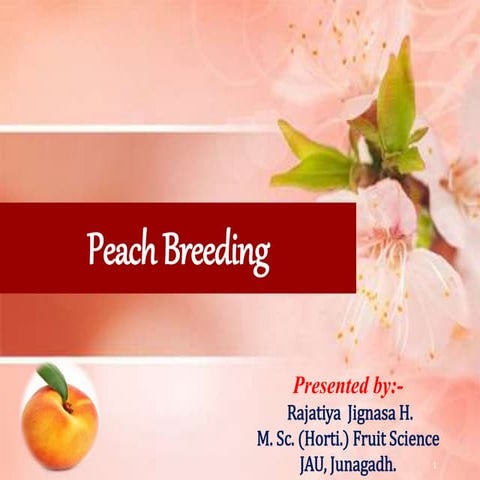 Peach breeding | PPTX