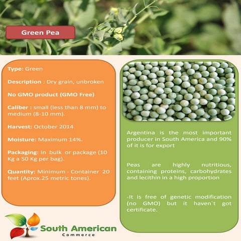 Pea presentation | PDF