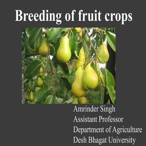 High Density Planting in Fruit Crops | PPTX