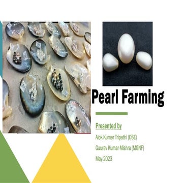 Pearl Farming business model for rural area small basic.pdf