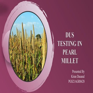 DUS Test Guidelines for Maize | PPTX