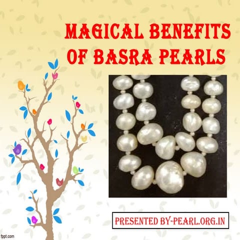 Basra Pearl Fact | PPT