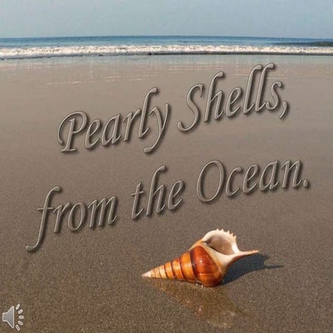 Pearly shells, from the ocean. (v.m.) | PPSX