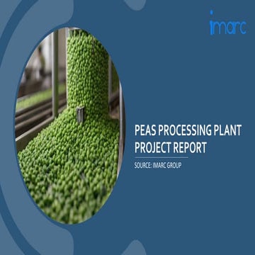 Peas Processing Plant Project Report.pdf