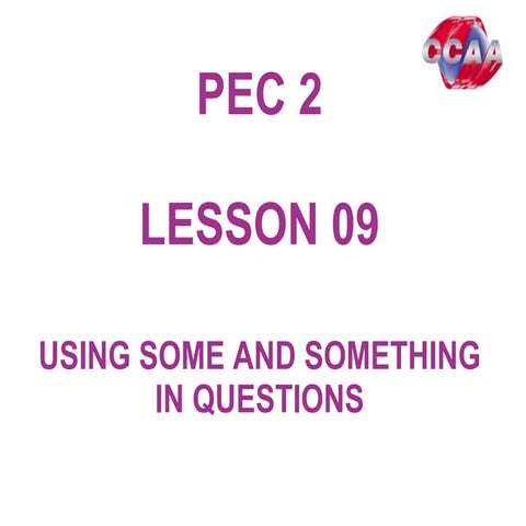 Pec2 lesson09 something some in questions | PPTX