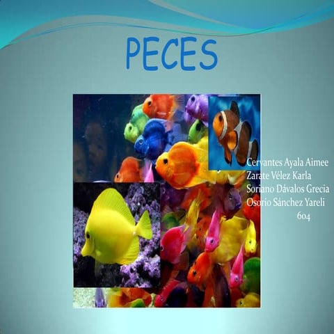Zoología en peces - BIOLOGÍA PESQUERA PRÁCTICAS.pptx