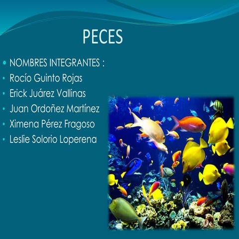 Peces | PPTX