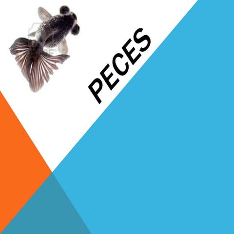 Peces | PPTX