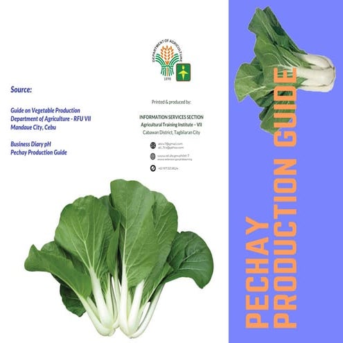 CRP002 - AESA BASED GUIDE TO PECHAY PRODUCTION.pdf