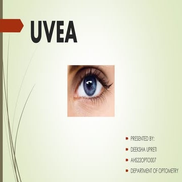 #ANATOMY OF UVEA (IRIS, CILLIARY BODY, CHOROID) | PDF