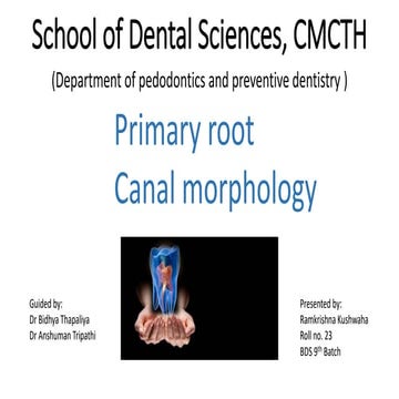 Morphology and internal anatomy of root canal system | PPTX