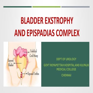 Pediatric urology:Bladder extrophy and Epispadias complex | PDF