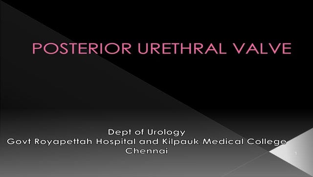 Urodynamic ppp | PPT