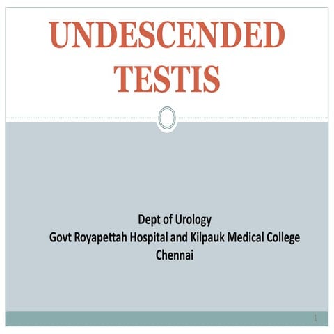 Undescended testis | PPTX