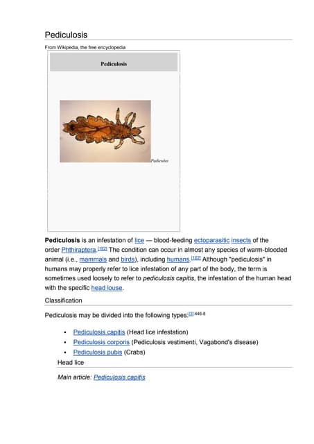 Client Handout - Fleas | DOCX