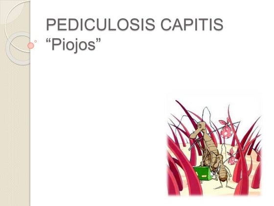 Lice | PPTX | Infectious Diseases | Diseases and Conditions