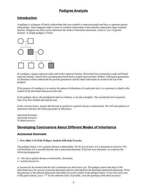 Pedigree Charts Powerpoint | PPT