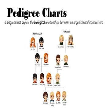 Pedigrees Lecture | PPT