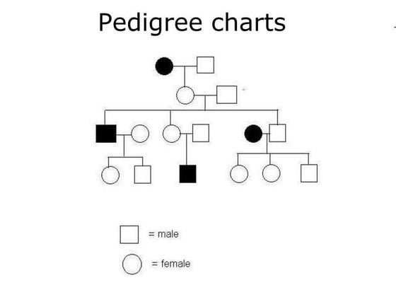 Pedigree analysis | PPT