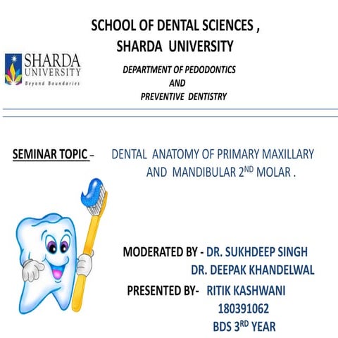 DENTAL ANATOMY OF PRIMARY MAXILLARY AND MANDIBULAR 2ND MOLAR . | PDF