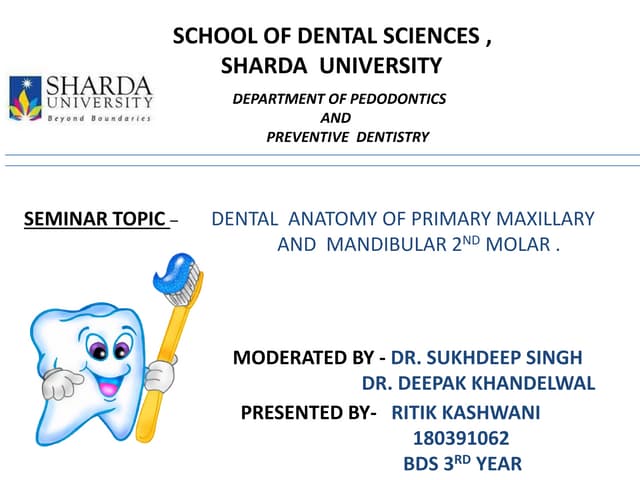 2nd Upper Premolar Anatomy | PPTX
