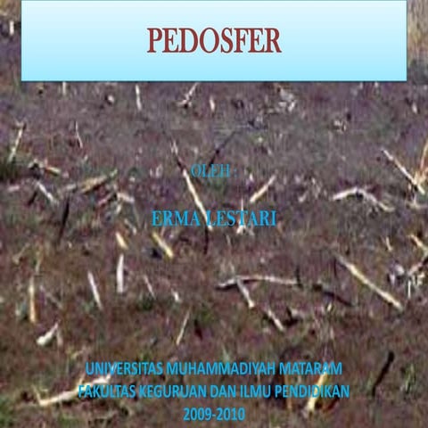 Pedosfer | PPTX